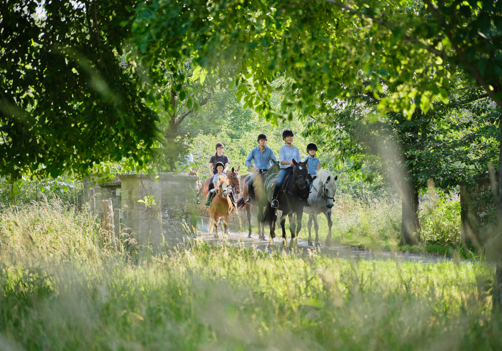 About Us - Try a Horse